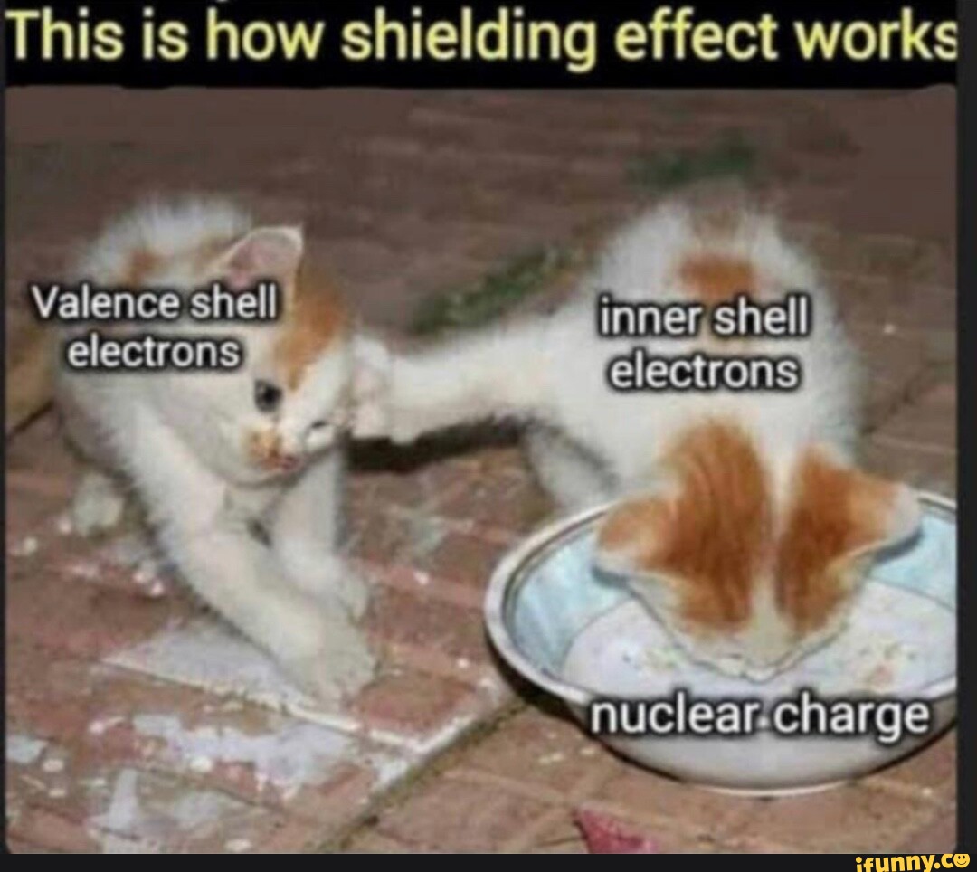 Shielding memes. Best Collection of funny Shielding pictures on iFunny