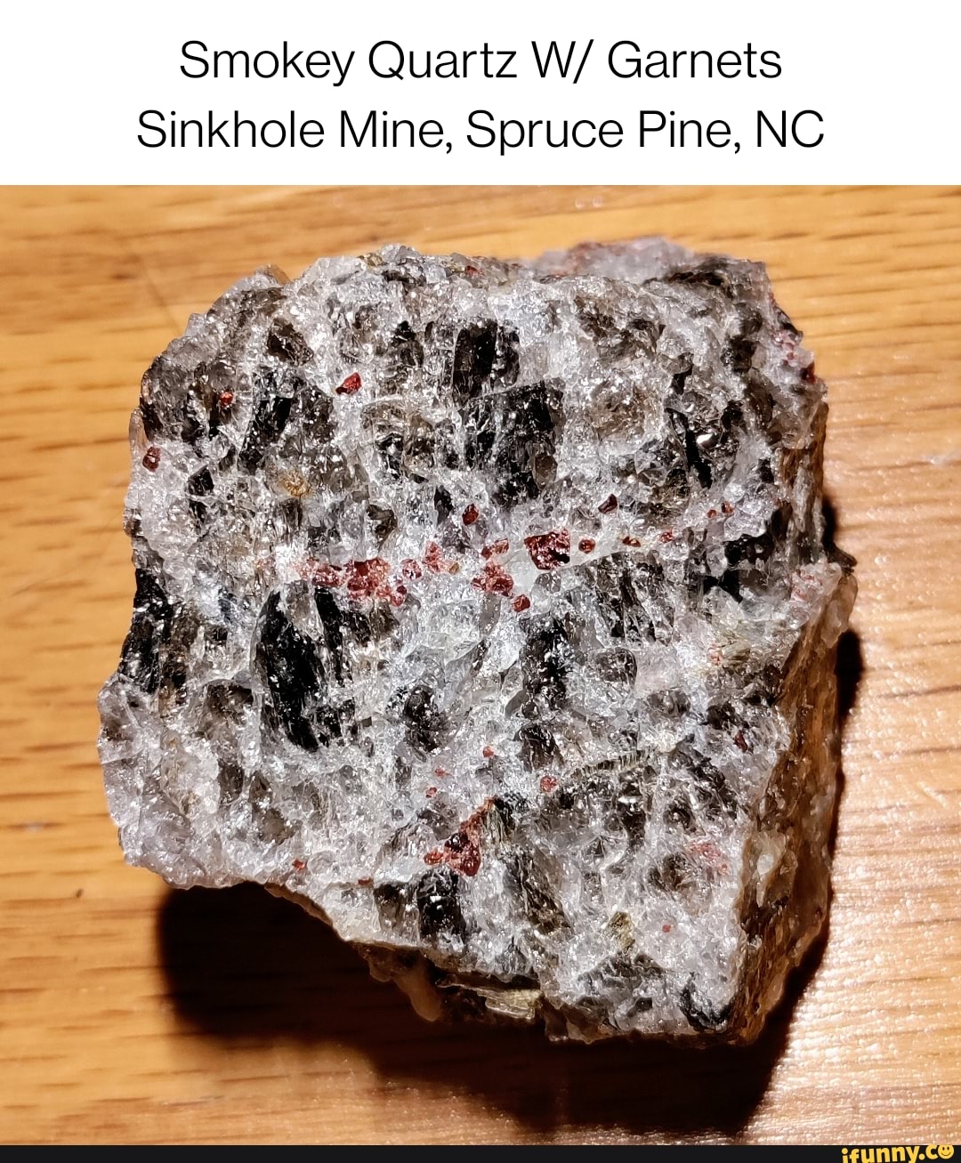 Garnet memes. Best Collection of funny Garnet pictures on iFunny