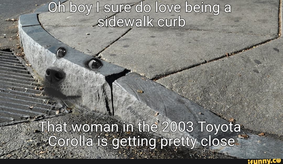 Oh boy I sure do love being a sidewalk curb That woman in the 2003 ...