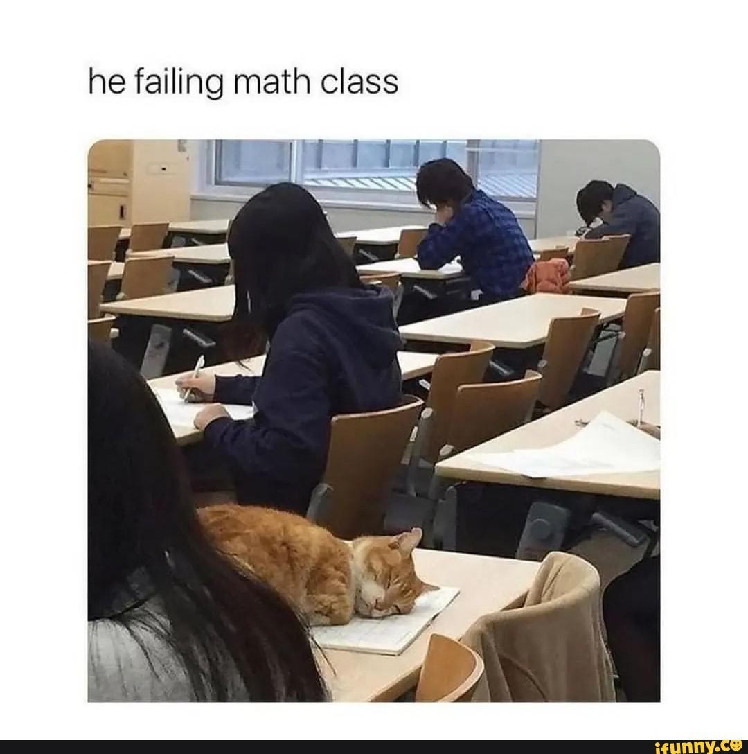 He failing math class - iFunny
