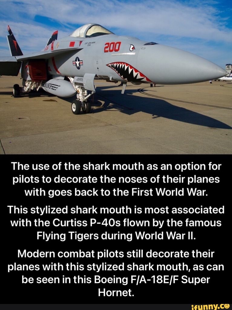The use of the shark mouth as an option for pilots to decorate the ...