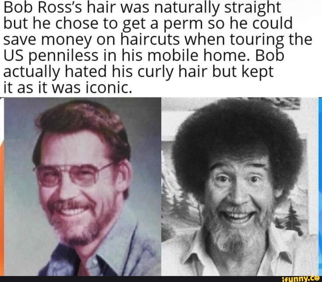 Perm memes. Best Collection of funny Perm pictures on iFunny