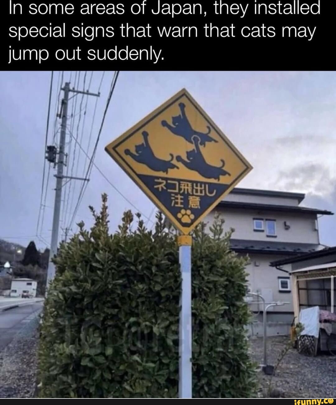 In some areas of Japan, they installed special signs that warn that ...