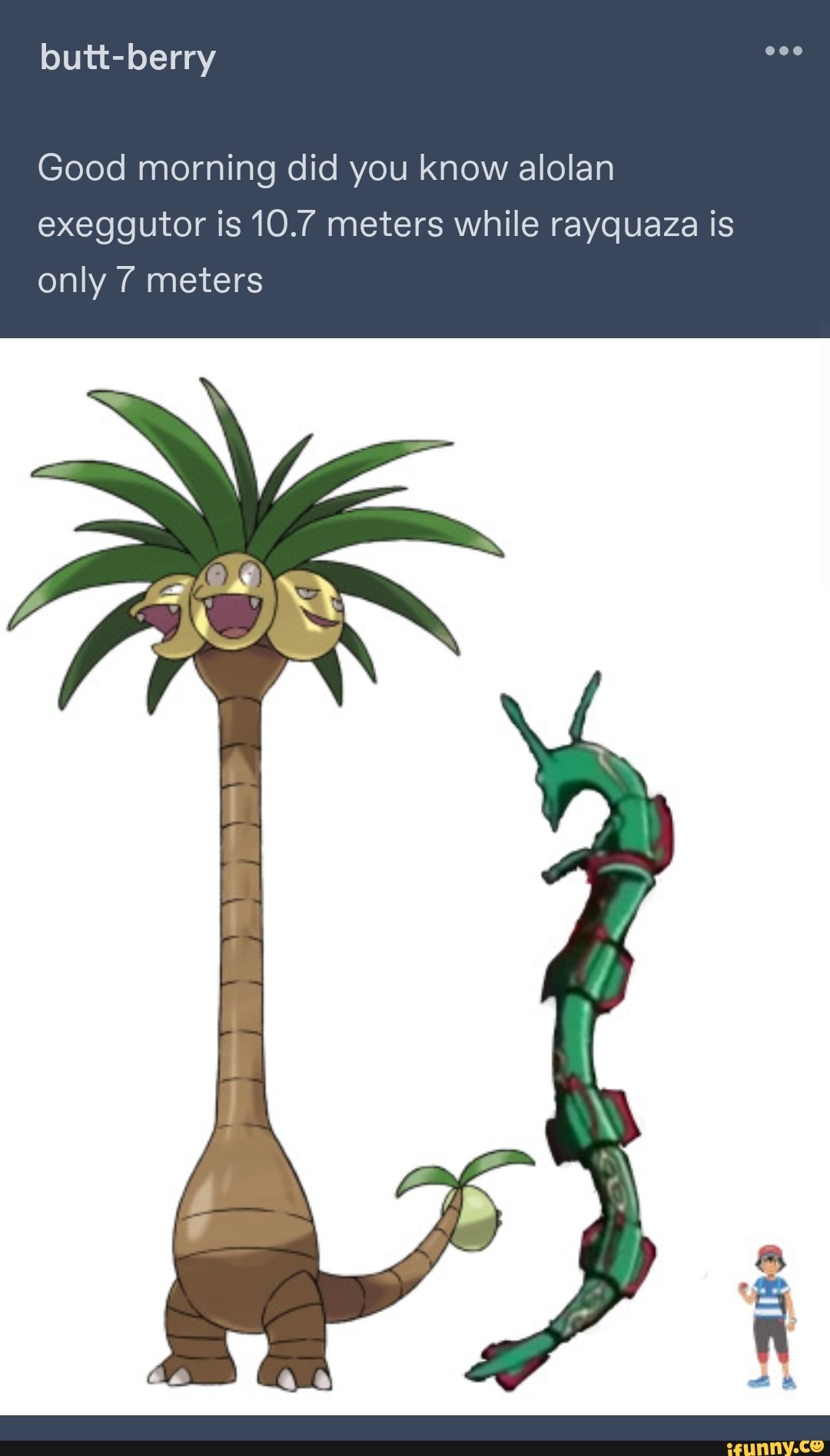 Butt-berry Good morning did you know alolan exeggutor is 10.7 meters ...