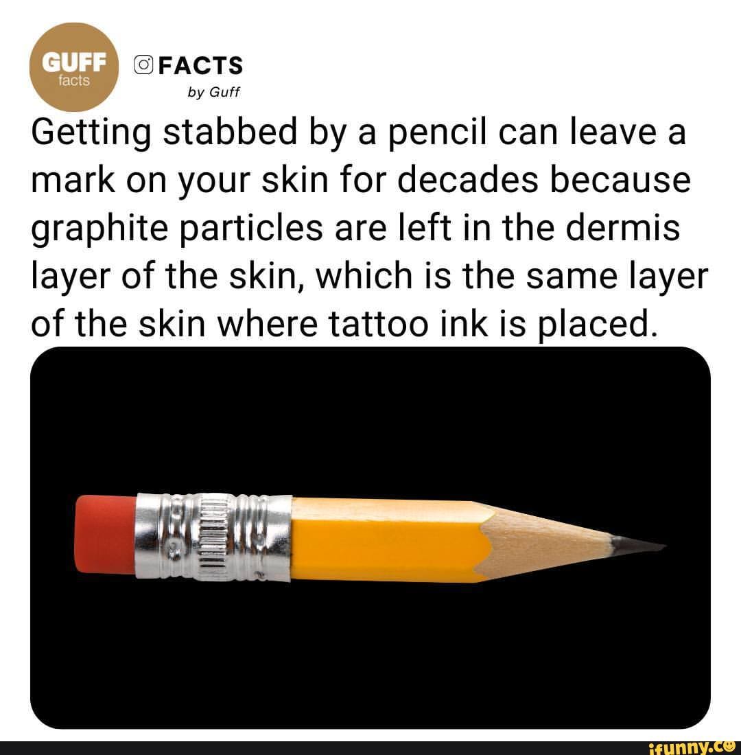 FACTS by Guff Getting stabbed by a pencil can leave a mark on your skin ...