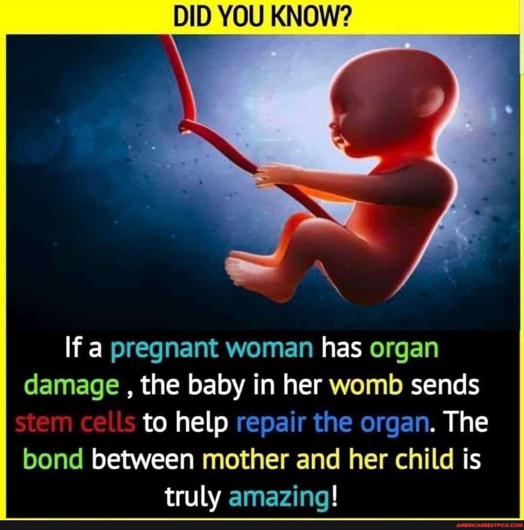 DID YOU KNOW? If a pregnant woman has organ damage , the baby in her ...