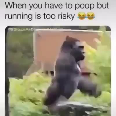 When you have to poop but running is too risky xau - )