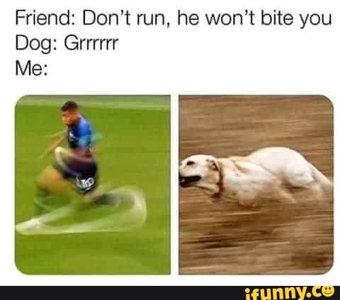 Grrrrrr memes. Best Collection of funny Grrrrrr pictures on iFunny