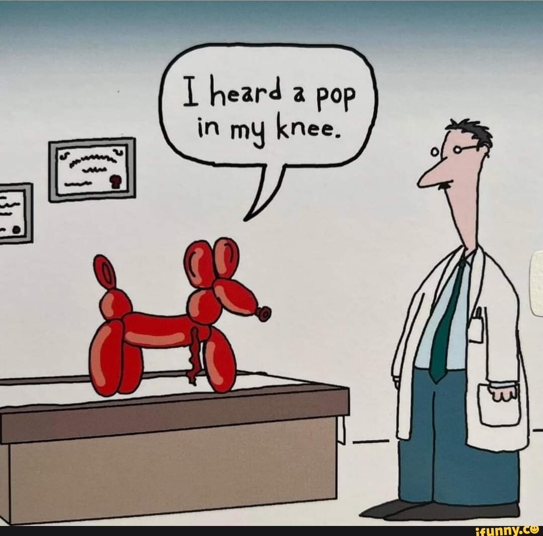 Cats are able to understand how far the opponent can reach and then ...