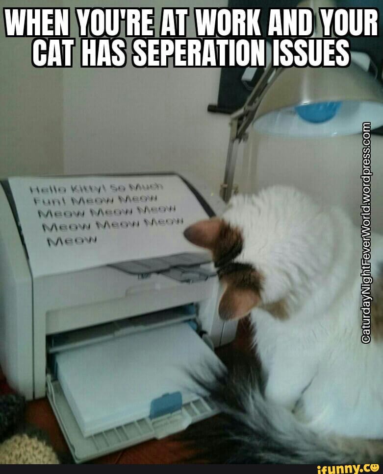 Catsoftheworld memes. Best Collection of funny Catsoftheworld pictures ...