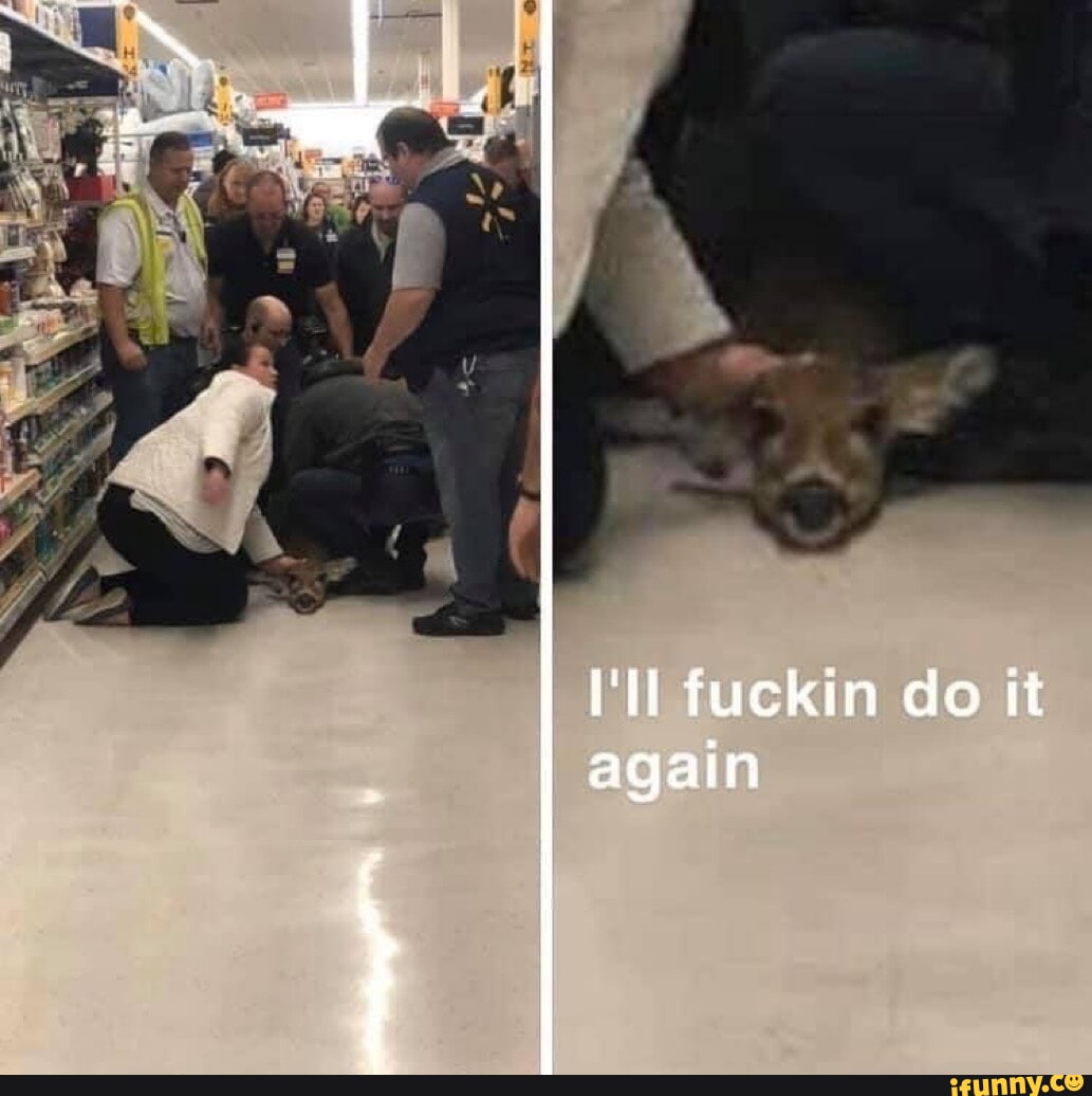 The 26 man clan in Rust when they see me hitting a tree with a rock ...