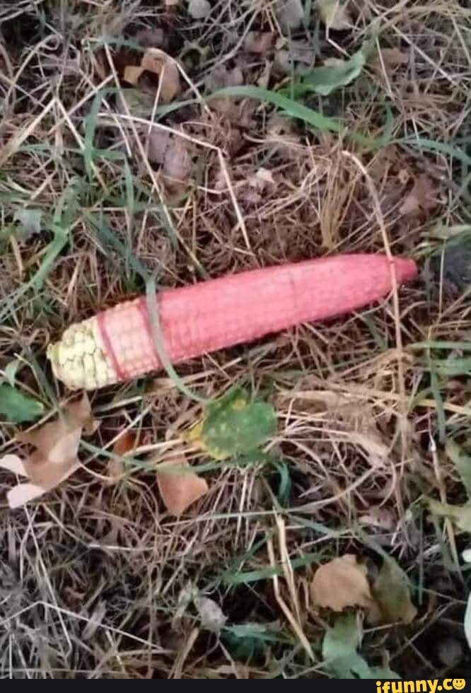 Cursed_corn memes. Best Collection of funny Cursed_corn pictures on iFunny