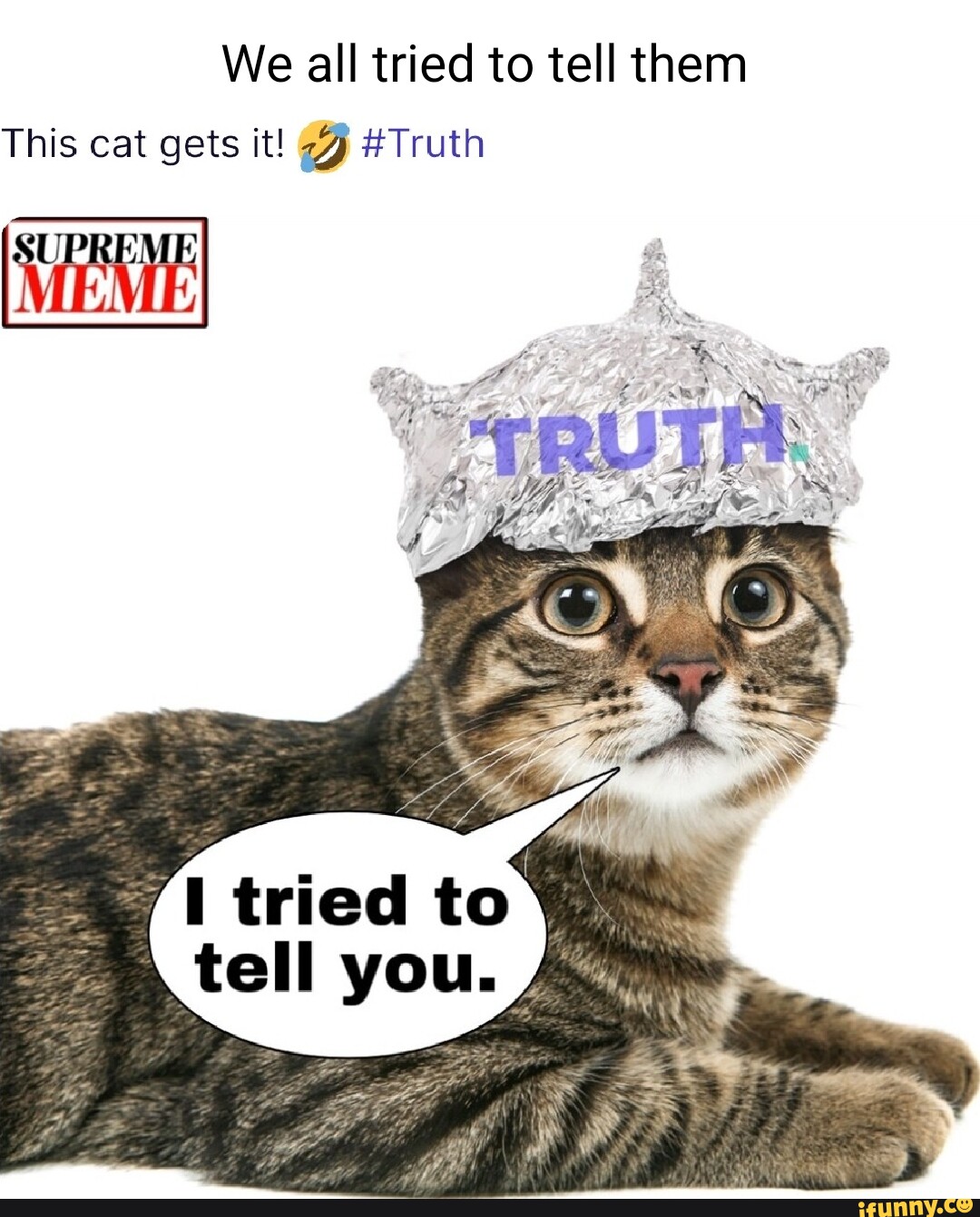 We all tried to tell them This cat gets it! #Truth MEME I tried to tell ...