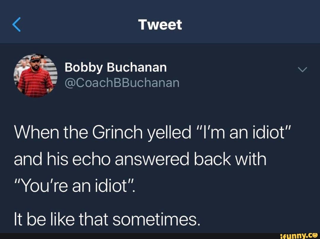 When the Grinch yelled ”I’m an idiot” and his echo answered back with ...