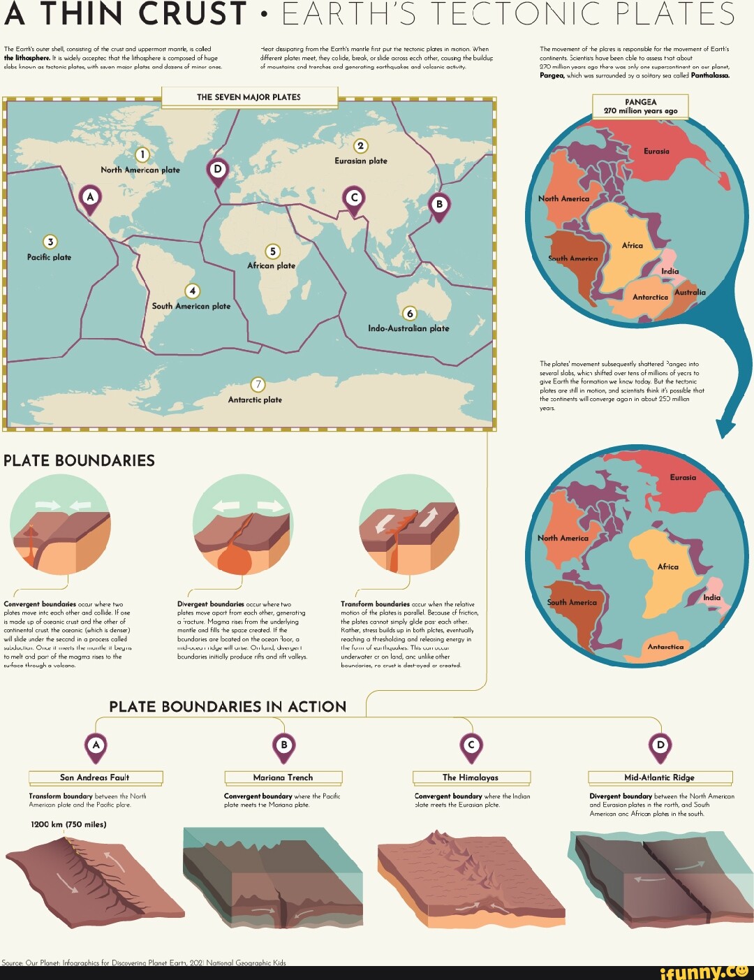 A THIN CRUST 'The Eot cure shel, cnssteg of he cuttond uppeemon mont ...