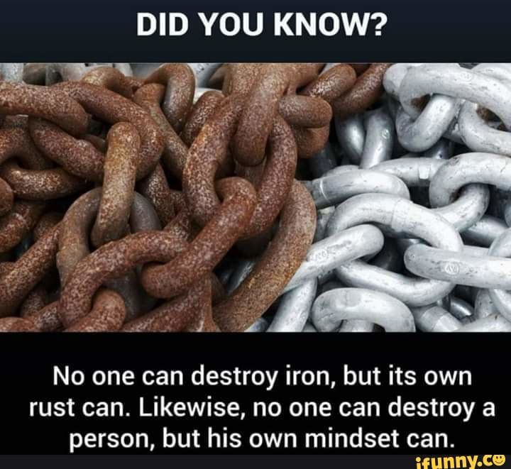 DID YOU KNOW? No one can destroy iron, but its own rust can. Likewise ...