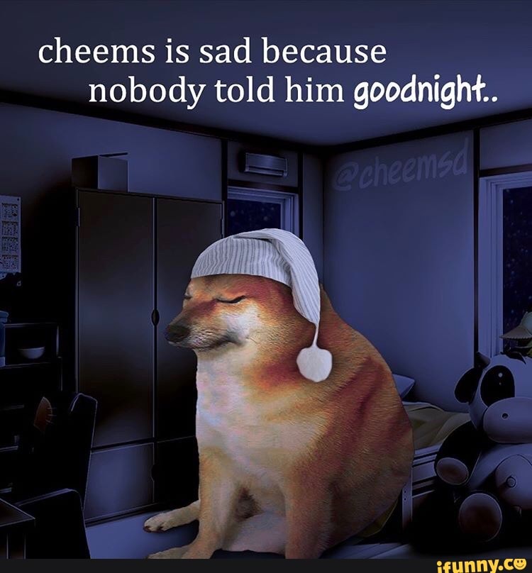 Cheems is sad because nobody told him goodnight. - iFunny