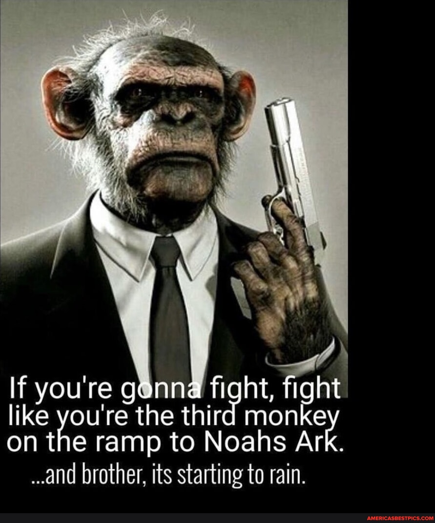 If you're gonna fight, fight like you're the third monkey on the ramp ...