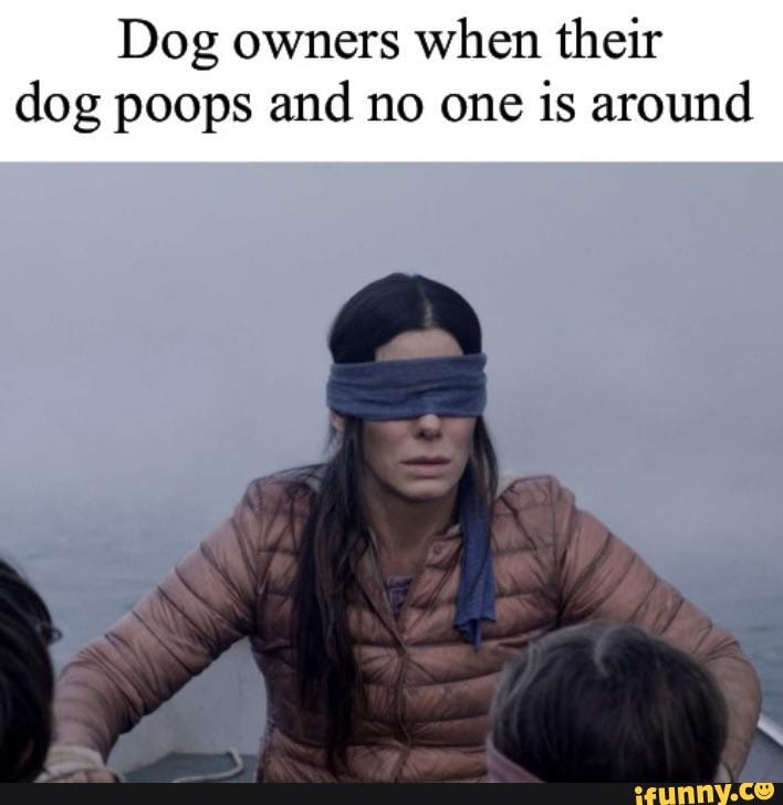 Dog owners when their dog poops and no one is around - iFunny