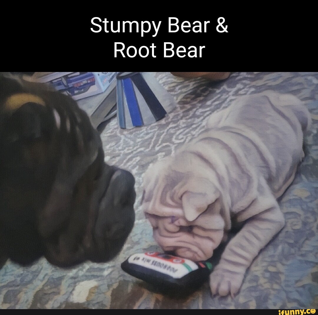 Stumpy Bear Root Bear - iFunny