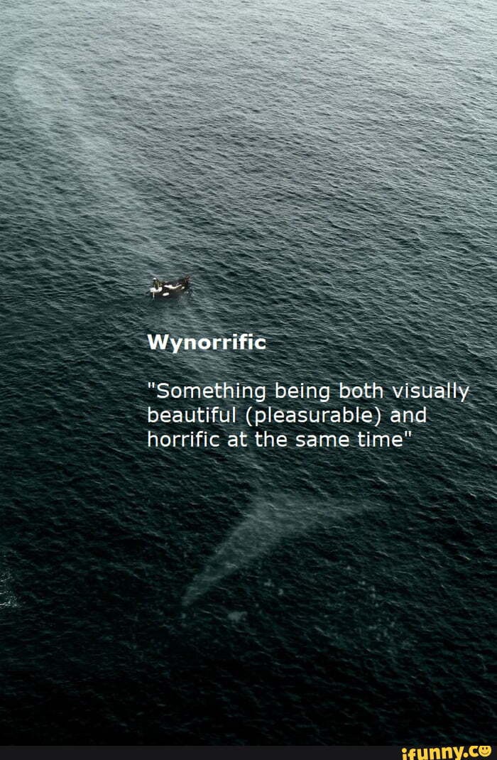 Visu memes. Best Collection of funny Visu pictures on iFunny