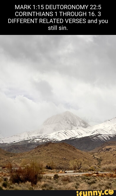 Mark memes. Best Collection of funny Mark pictures on iFunny