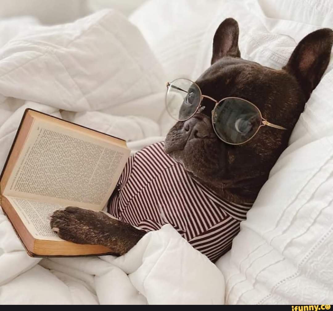 Schweet memes. Best Collection of funny Schweet pictures on iFunny