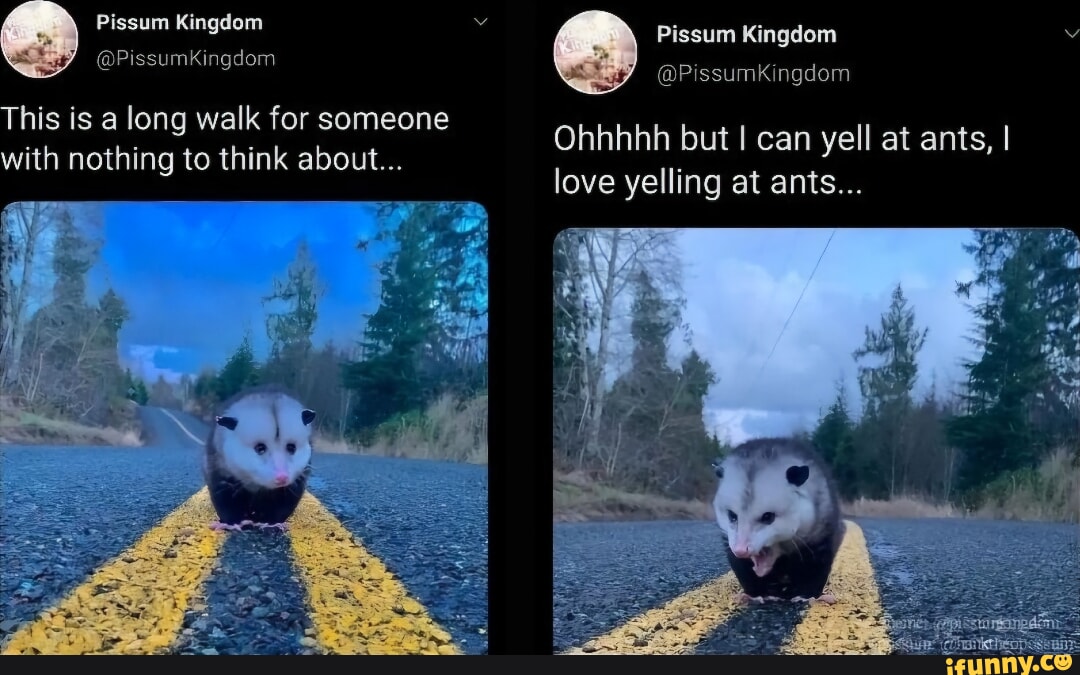 Trash meme - iFunny