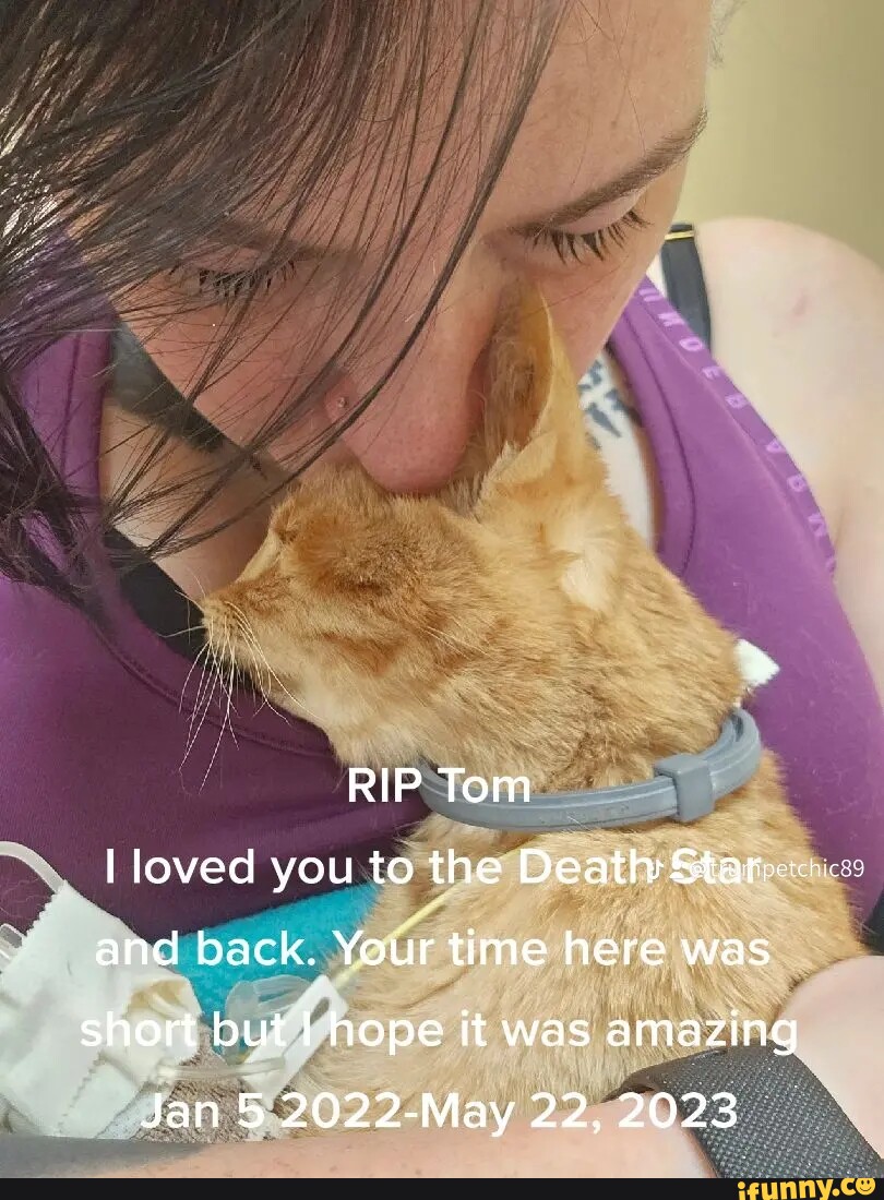 RIP Tom I loved you to the Death and back, Your time here was short but ...