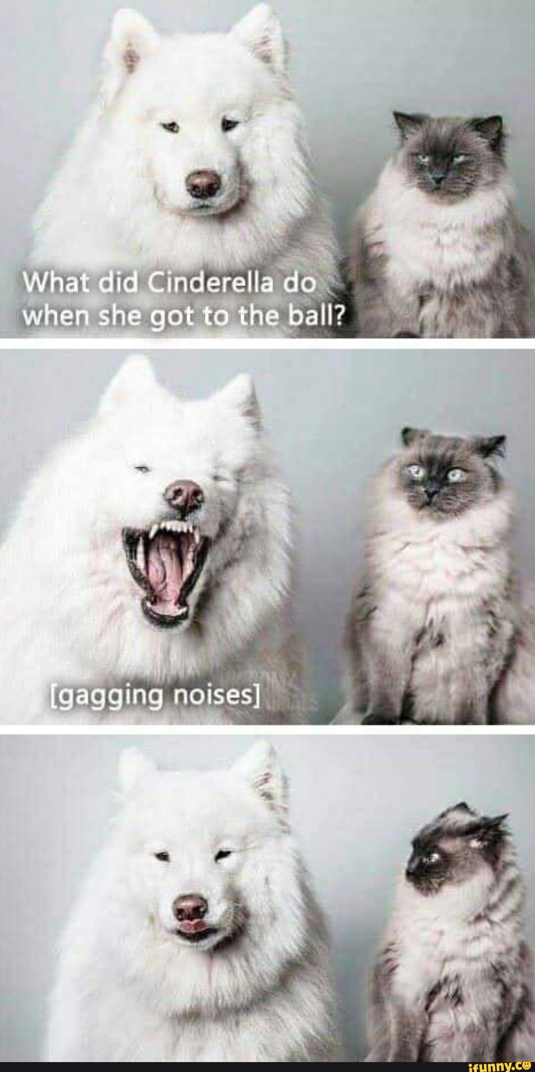 Cinderella memes. Best Collection of funny Cinderella pictures on iFunny