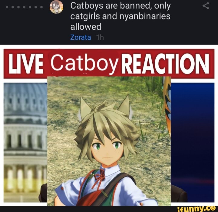 Catboys memes. Best Collection of funny Catboys pictures on iFunny