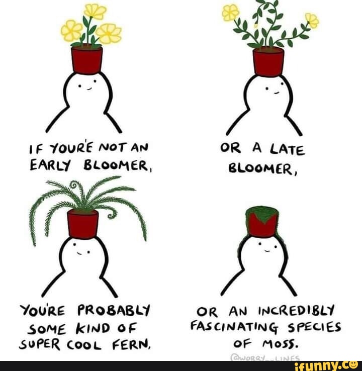 Bloomer memes. Best Collection of funny Bloomer pictures on iFunny