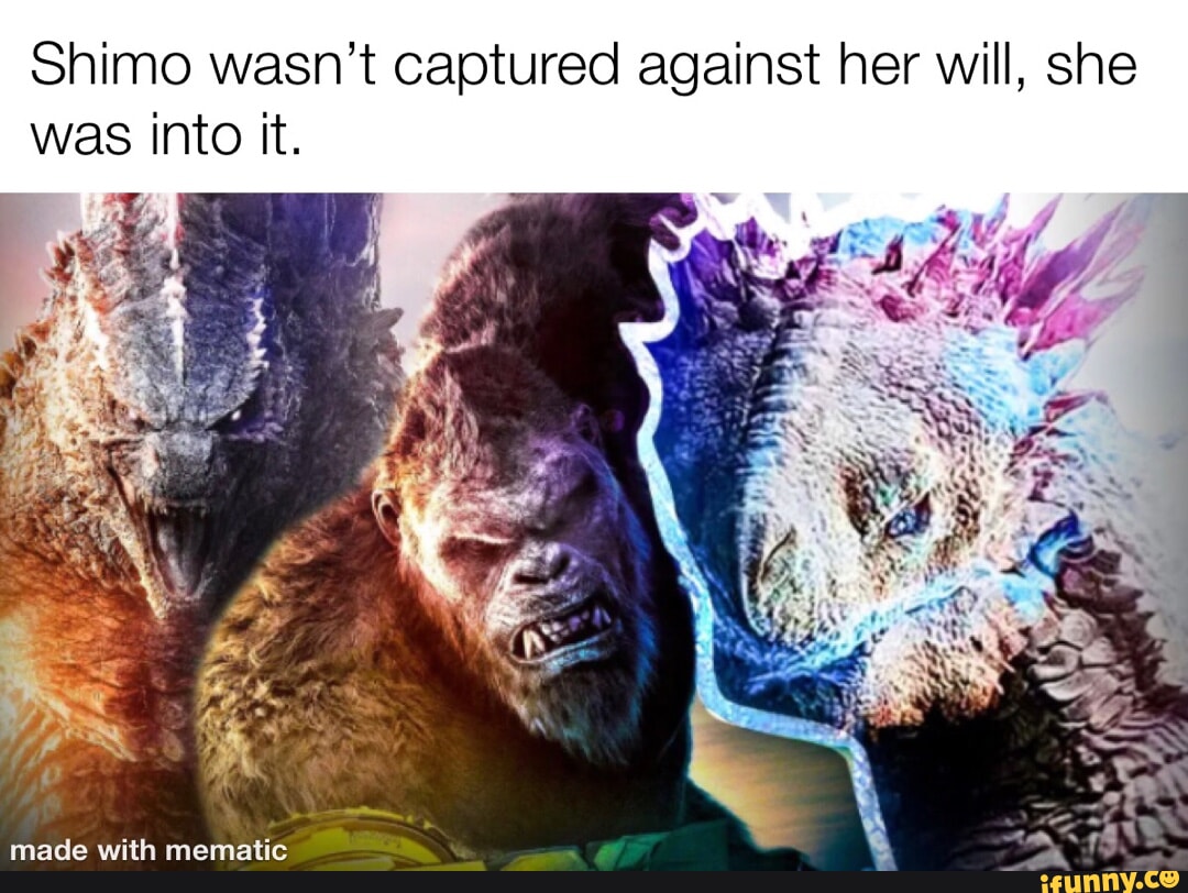 Shimo memes. Best Collection of funny Shimo pictures on iFunny