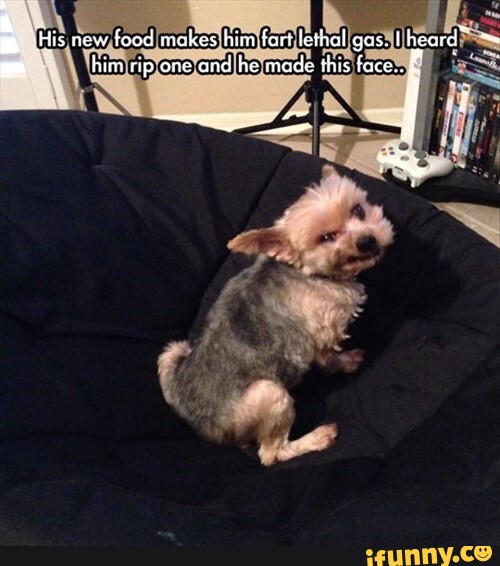 His new Food mokes him fart lethal gas [heard" him rip one and he made ...