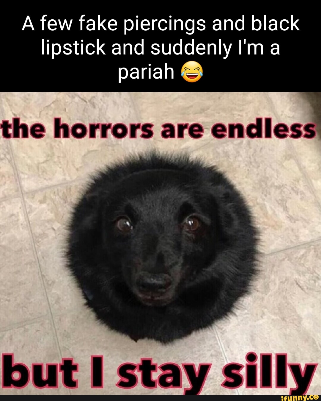 Pariah memes. Best Collection of funny Pariah pictures on iFunny