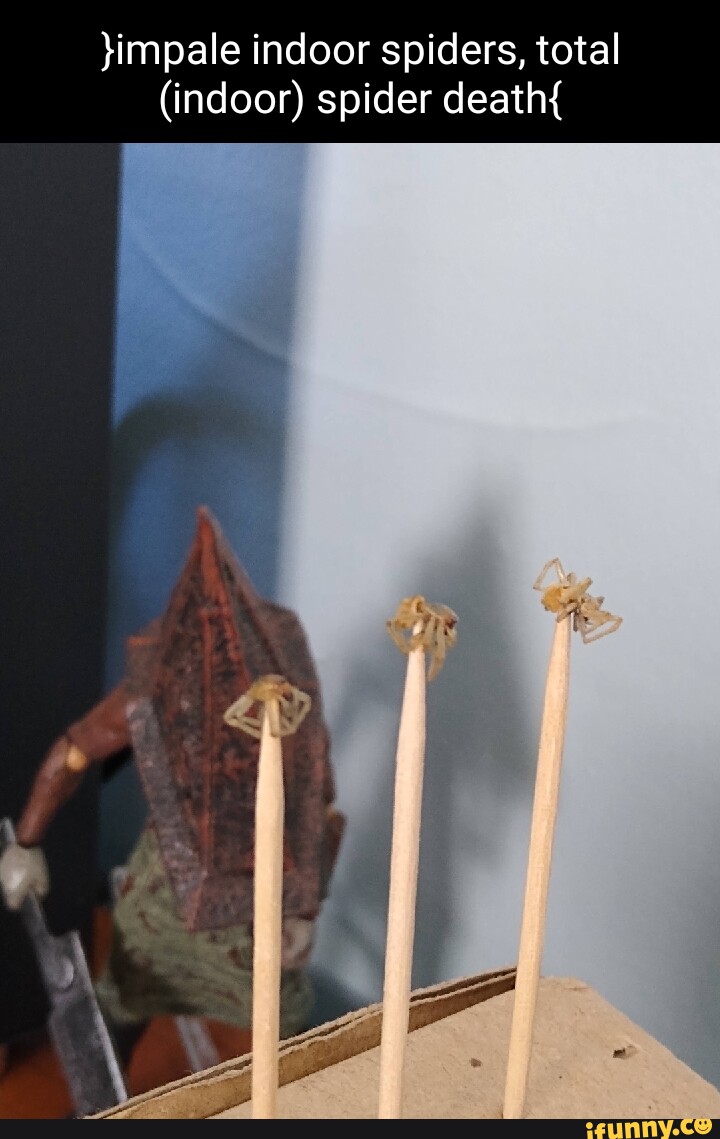 }impale indoor spiders, total (indoor) spider death{ - iFunny