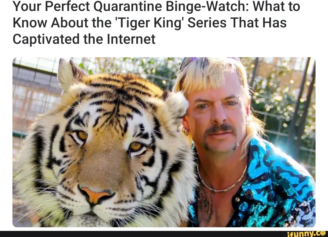Your Perfect Quarantine Binge-Watch: What to Know About the 'Tiger King ...