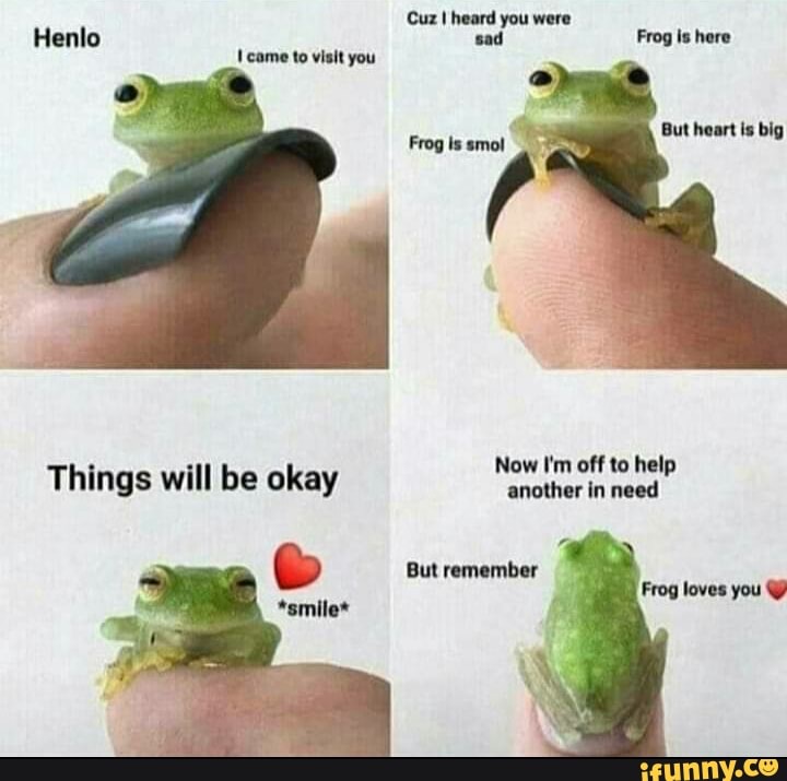 Sad Frog is here 'came to visit you Things will be okay O - iFunny