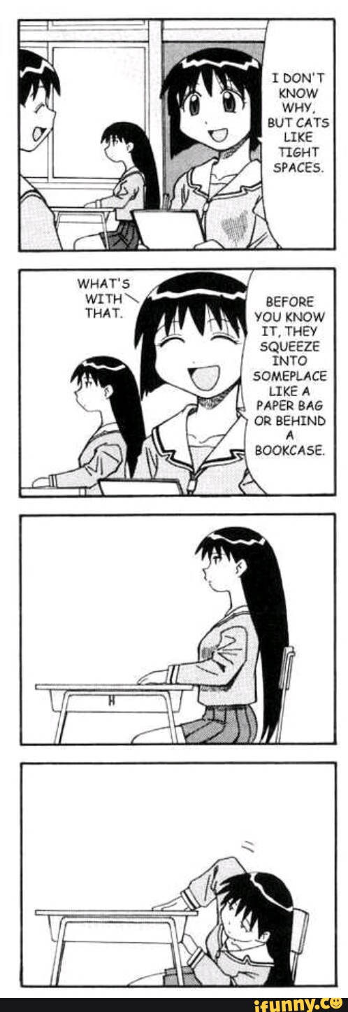 Bookcase memes. Best Collection of funny Bookcase pictures on iFunny