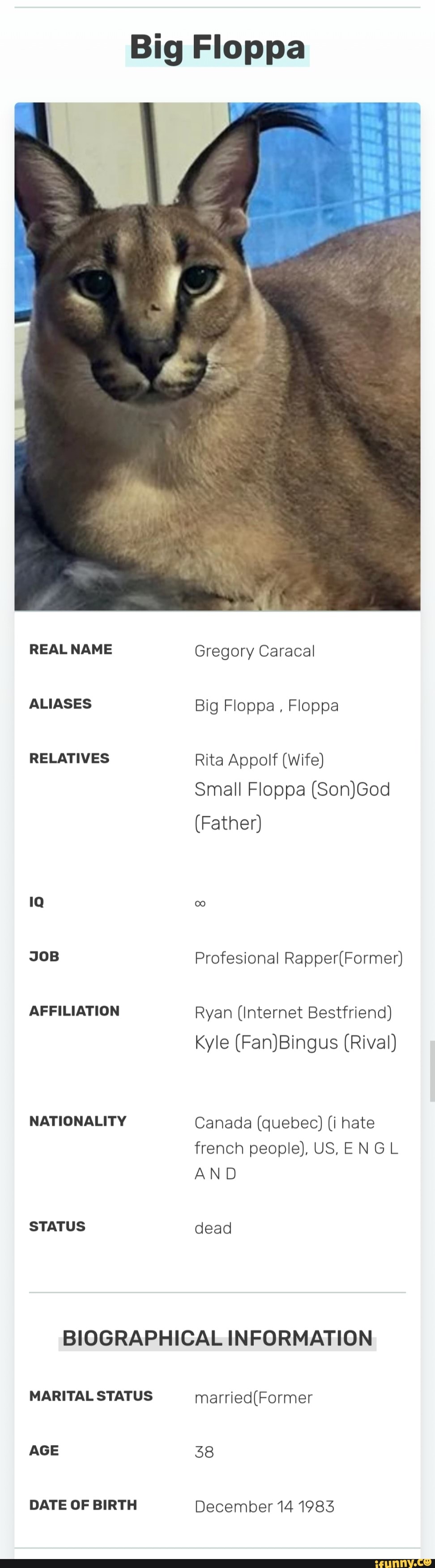 Big Floppa REAL NAME Gregory Caracal ALIASES Big Floppa , Floppa ...
