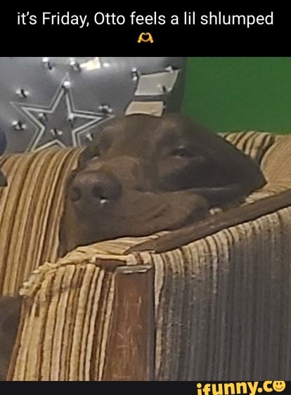 Shlumped memes. Best Collection of funny Shlumped pictures on iFunny