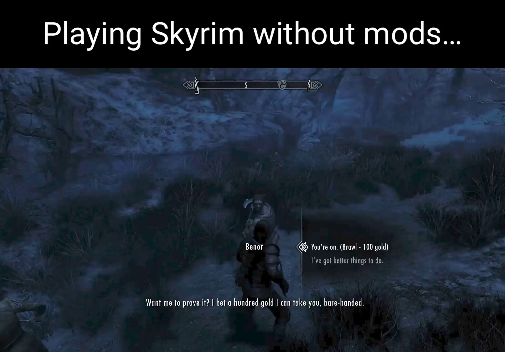 Skyrim Benor
