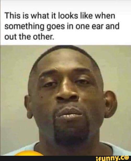 This is what it looks like when something goes in one ear and out the ...