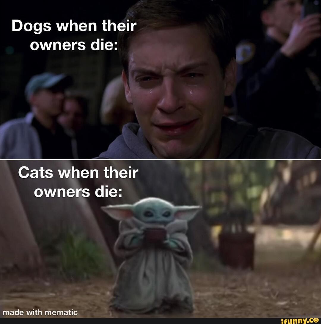 #memes #meme - Dogs when their owners die: Cats when their owners die ...