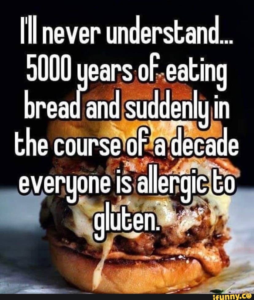 WINGS OF FIRE CHARACTERS AS HUMANS AS BLAZE BURN BLISTER - iFunny