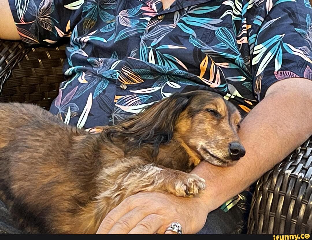 Dozing memes. Best Collection of funny Dozing pictures on iFunny