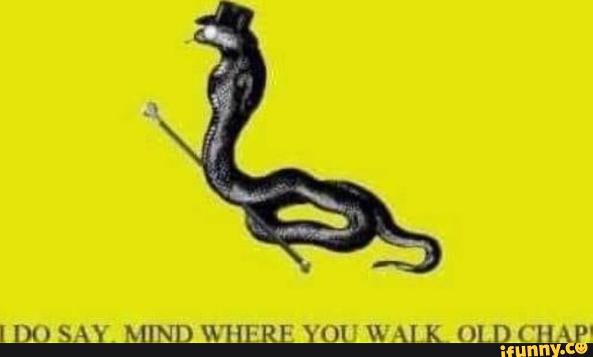 Chap memes. Best Collection of funny Chap pictures on iFunny