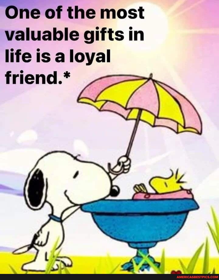 One of the most valuable gifts in life is a loyal - America’s best pics ...