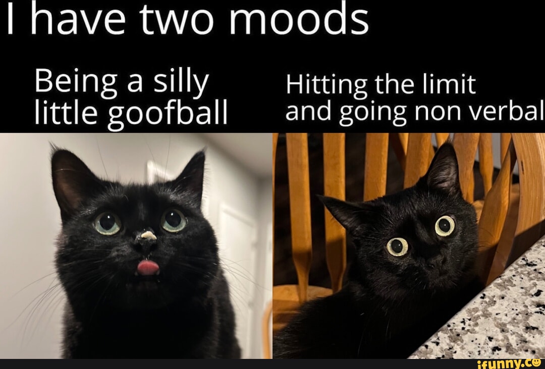 I nave two moods Being a silly Hitting the limit little goofball and ...