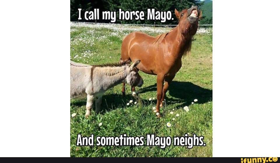 Call my horse Mayo. - And sometimes Mayo neighs. - iFunny